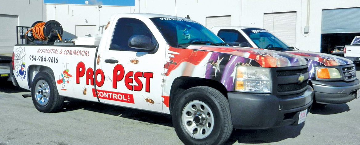 Pro pacific pest control - atilainspired